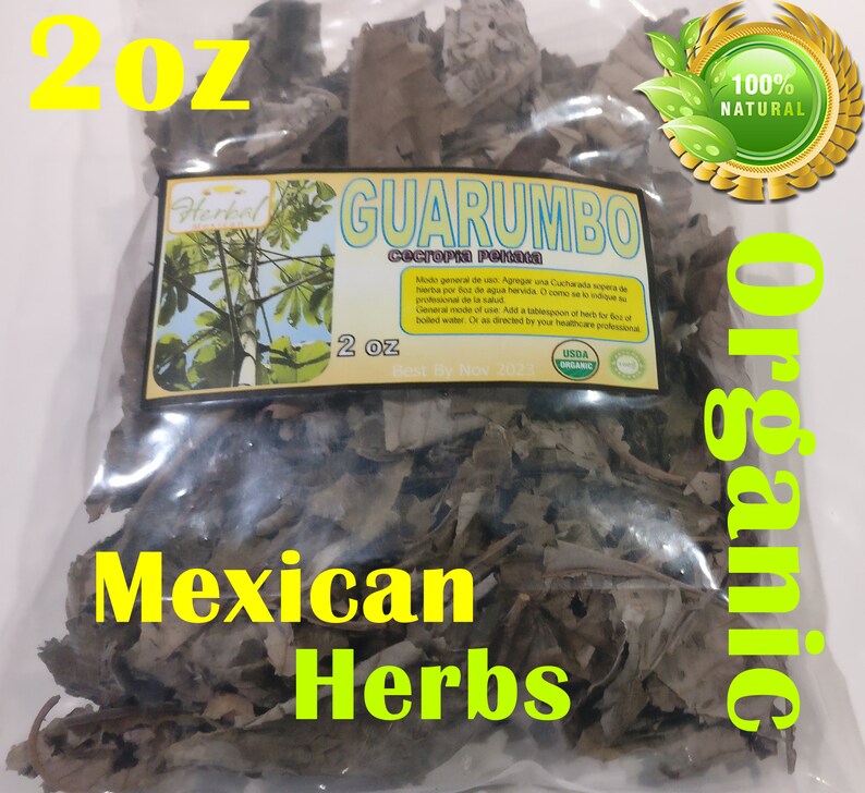 Guarumo Hierba Te, Guarumbo, Yagrumo, Yarumo, Chancarro, Cecropia ...