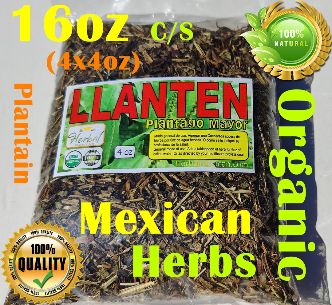 Llanten Hierba Te, Yanten, Plantago Mayor, Plantein, Great Plantein ...