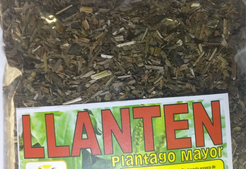 Llanten Hierba Te, Yanten, Plantago Mayor, Plantein, Great Plantein ...