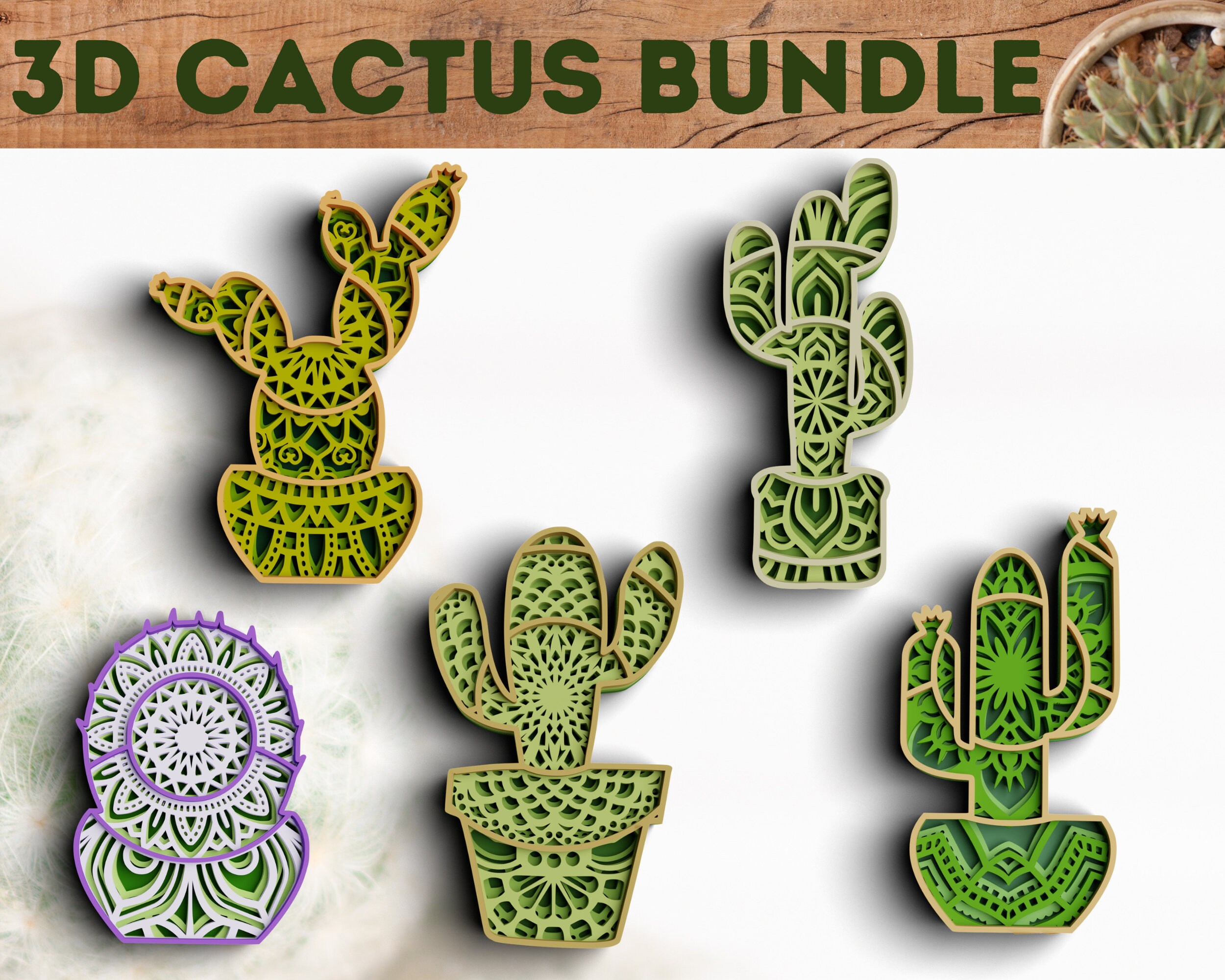 3D Cactus SVG DXF Succulent Svg 3D Mandala Svg Layered - Etsy