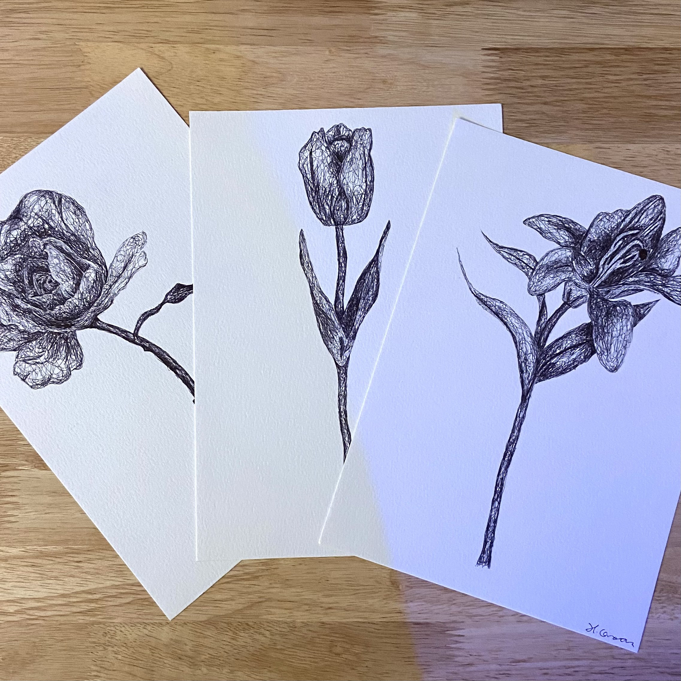 Original Pen Drawing- Trio of Flowers - Etsy