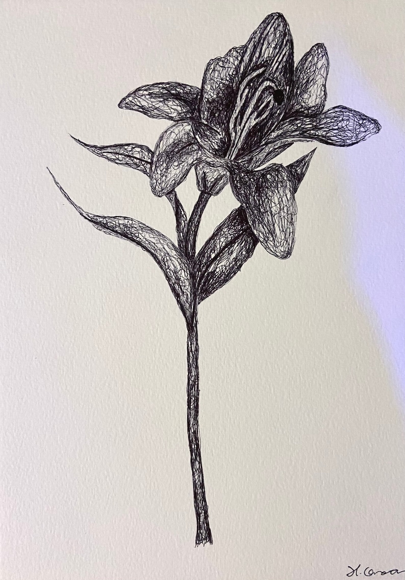 Original Pen Drawing- Trio of Flowers - Etsy