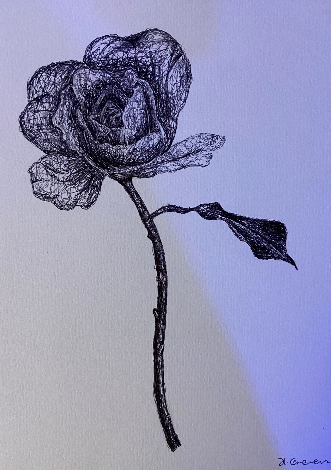 Original Pen Drawing- Trio of Flowers - Etsy