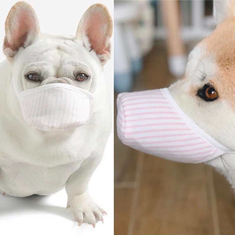 Dogs Mask 3 Layers for Snout and Short Nosed dogs. White with | Etsy