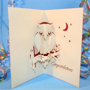 Congratulations Card Owl 3D Pop-up - Etsy