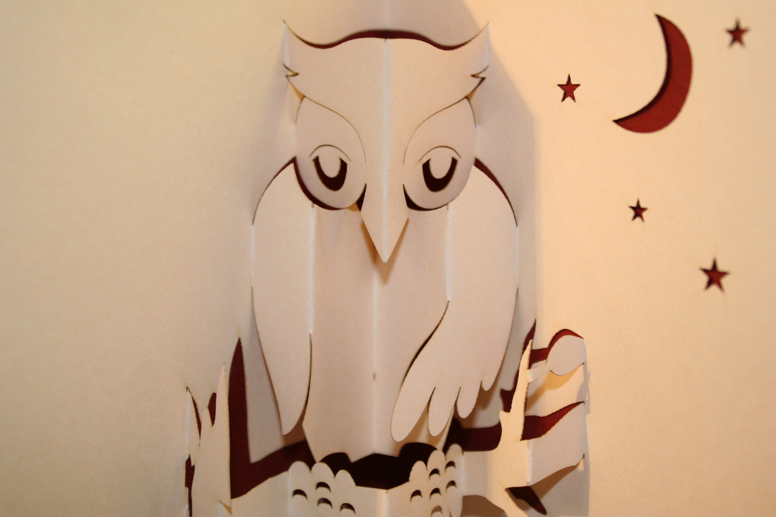 Congratulations Card Owl 3D Pop-up - Etsy