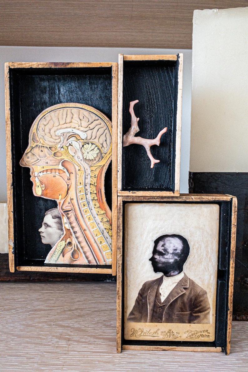 Mixed Media Shadowbox Box Assemblage Human Anatomical Model Altered ...