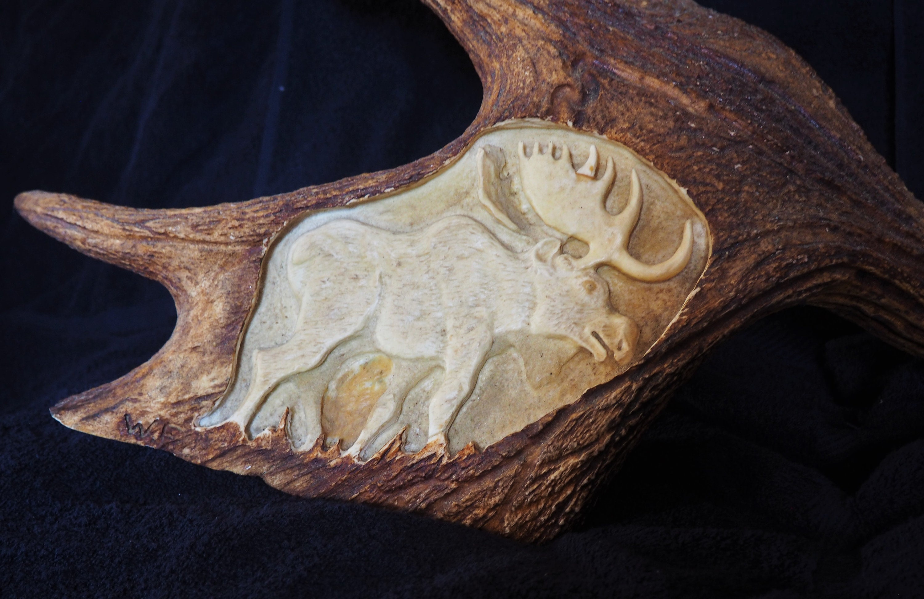 Moose Antler Carved Moose Unpainted - Etsy