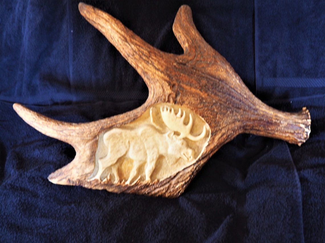 Moose Antler Carved Moose Unpainted - Etsy