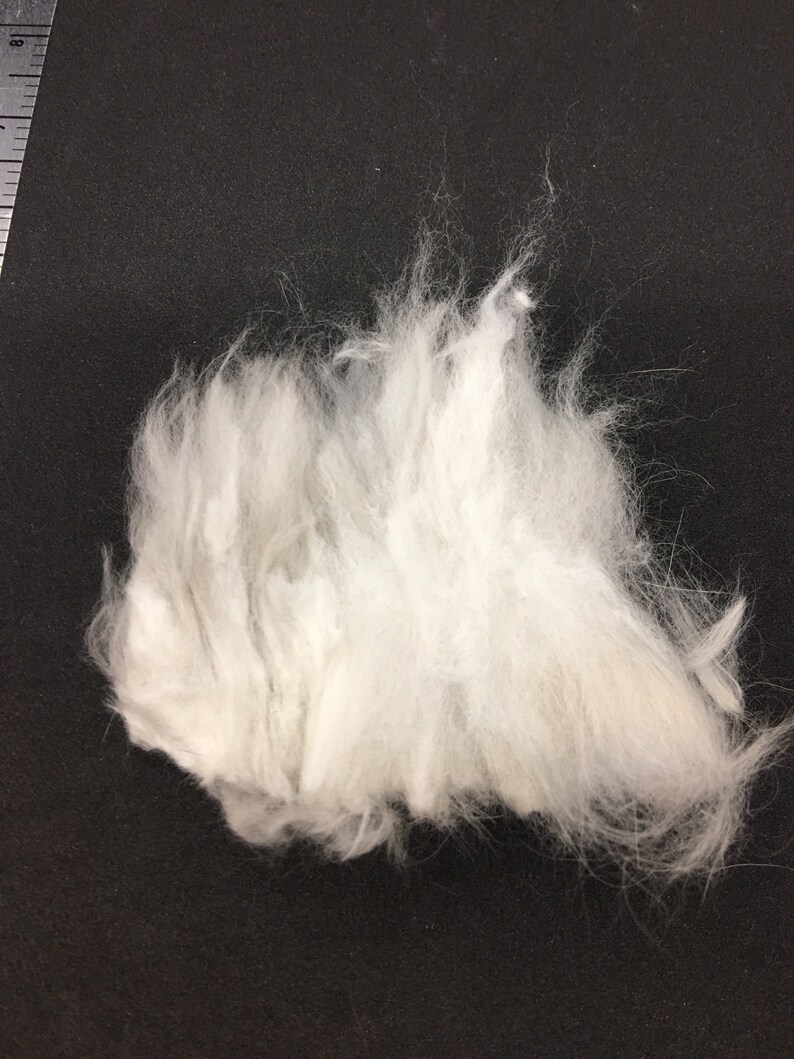 Angora Fiber french - Etsy