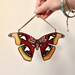 Stained Glass Atlas Moth - Etsy