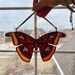 Stained Glass Atlas Moth - Etsy