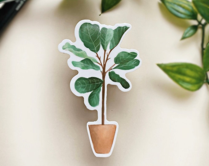 Fiddle Leaf Fig Sticker | Plant Sticker | Laptop Sticker | Waterproof ...