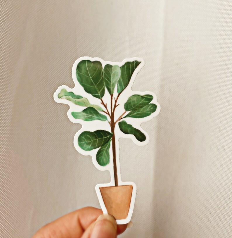 Fiddle Leaf Fig Sticker Plant Sticker Laptop Sticker - Etsy