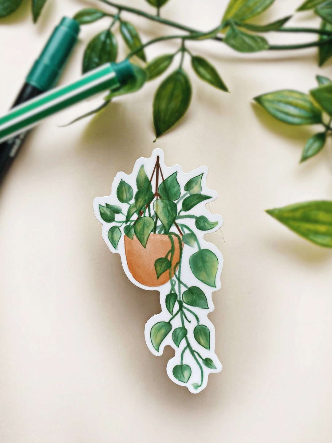 Pothos Hanging Plant Sticker | Vinyl Die Cut Sticker | Plant Sticker ...