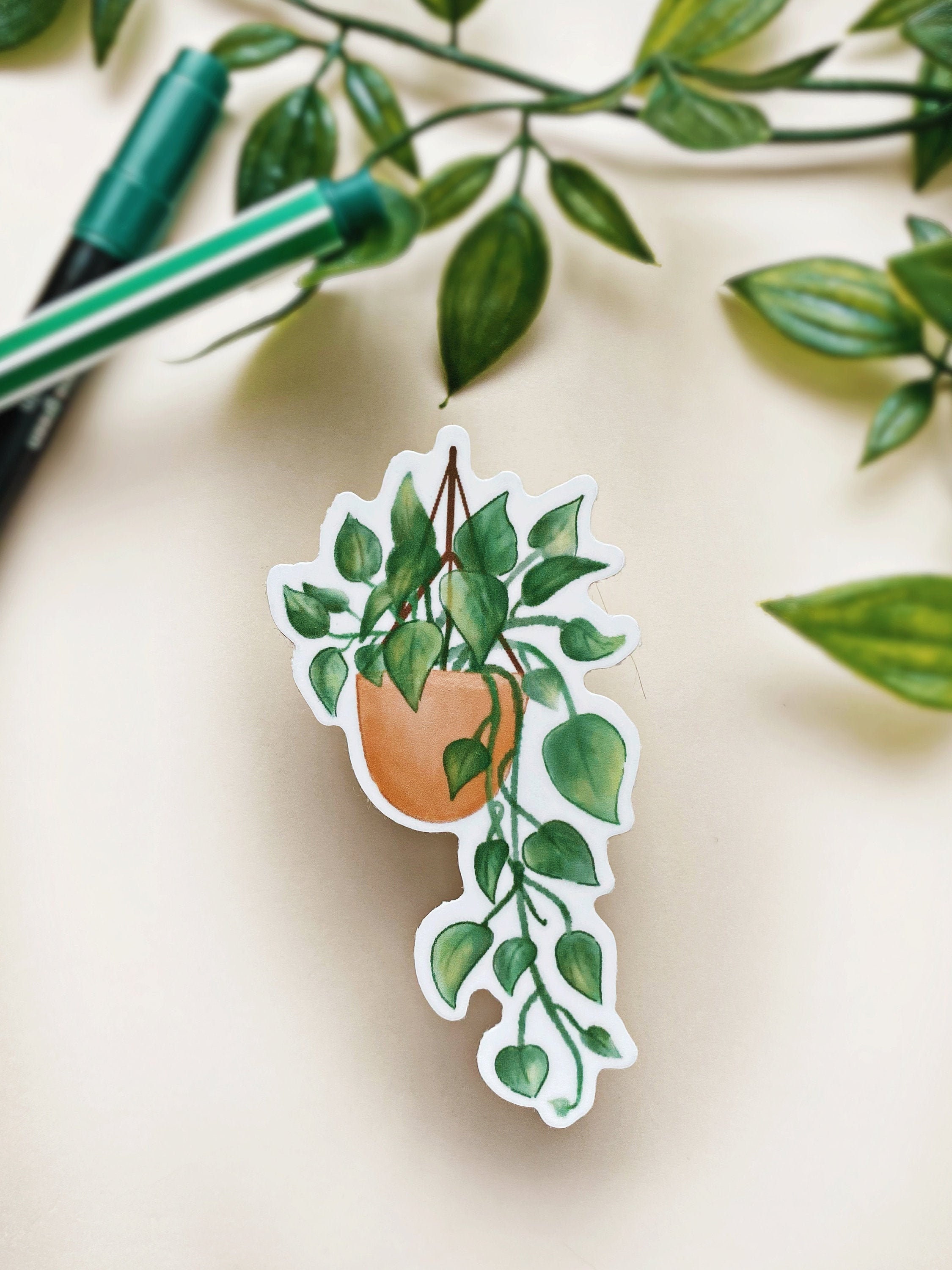 Pothos Hanging Plant Sticker | Vinyl Die Cut Sticker | Plant Sticker ...
