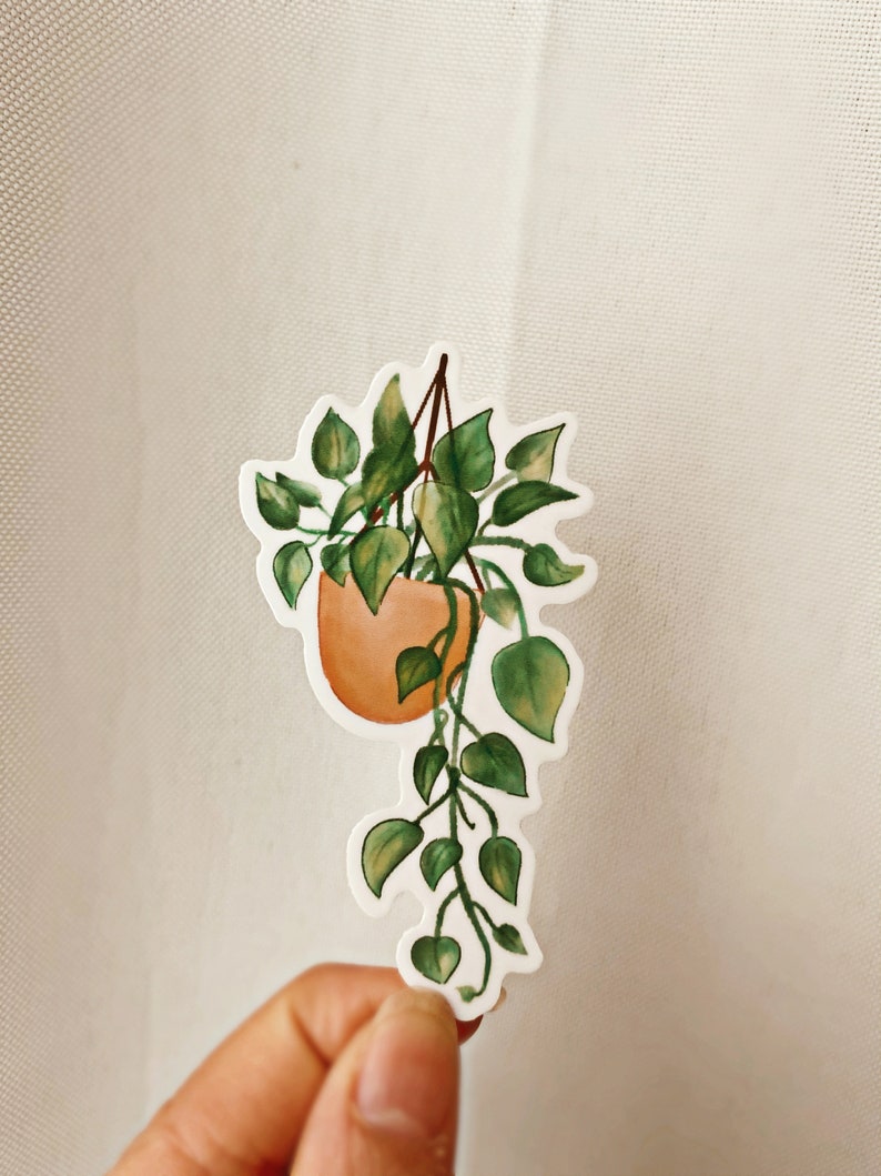 Pothos Hanging Plant Sticker | Waterproof Vinyl Decal - Etsy UK