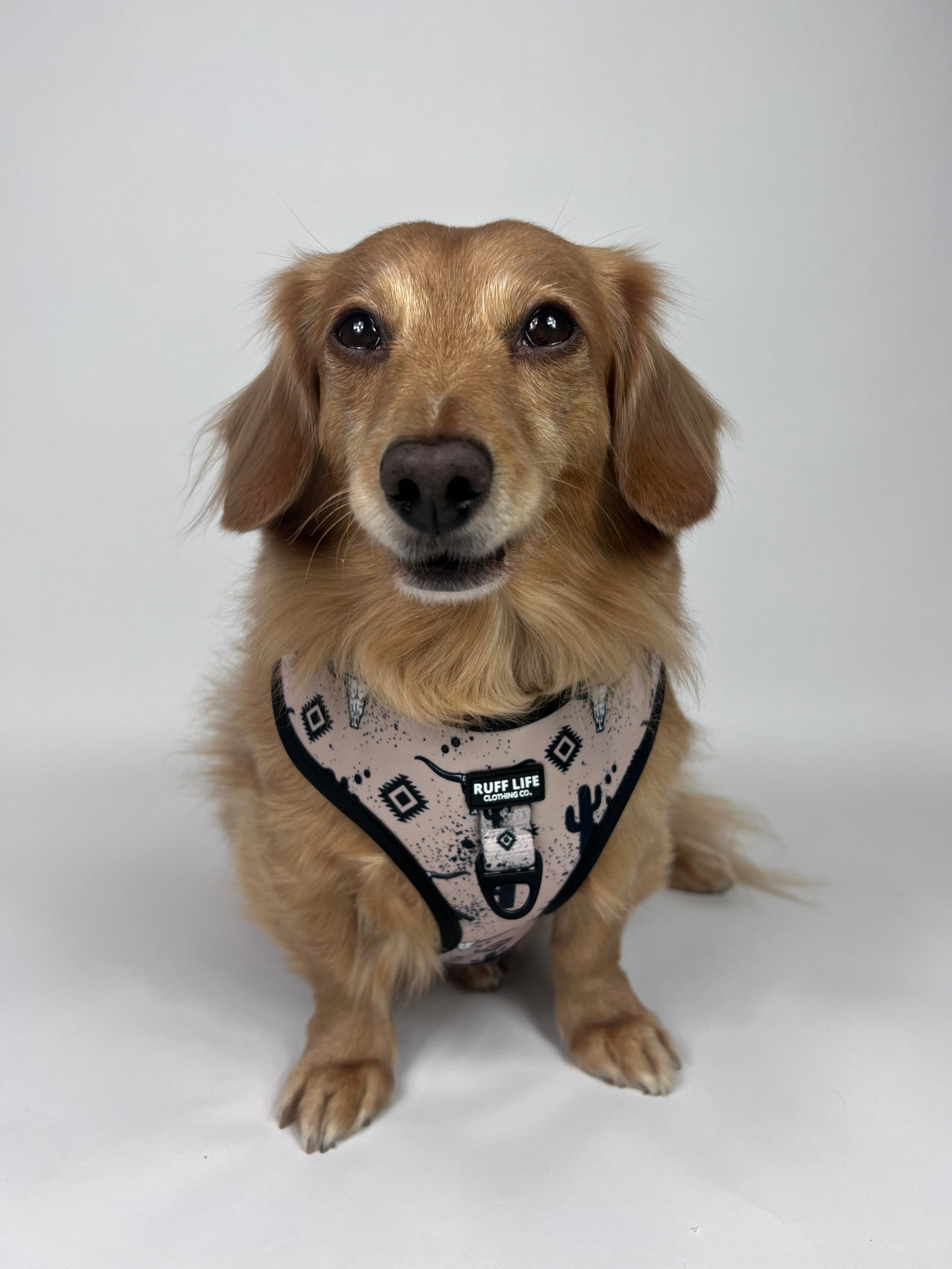 Western Print Dog Harness, Ruff Life Clothing Co, Walk Wear, Pet ...