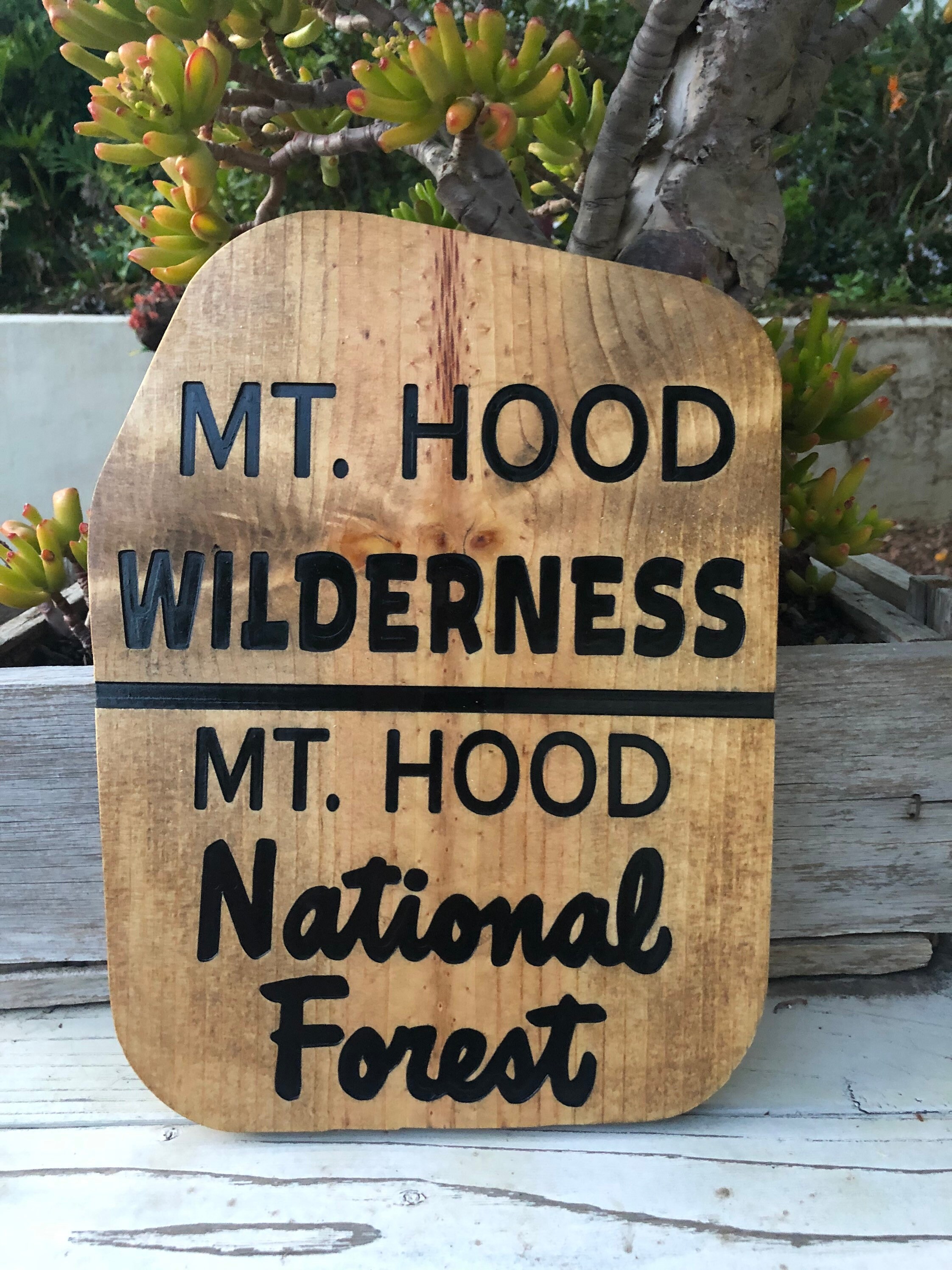 National Park Sign Mt Hood pct Trail Sign High Sierra - Etsy
