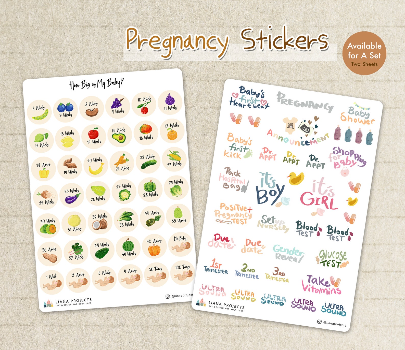 Baby Sizes Stickers Baby Bump Stickers Pregnancy Sticker - Etsy