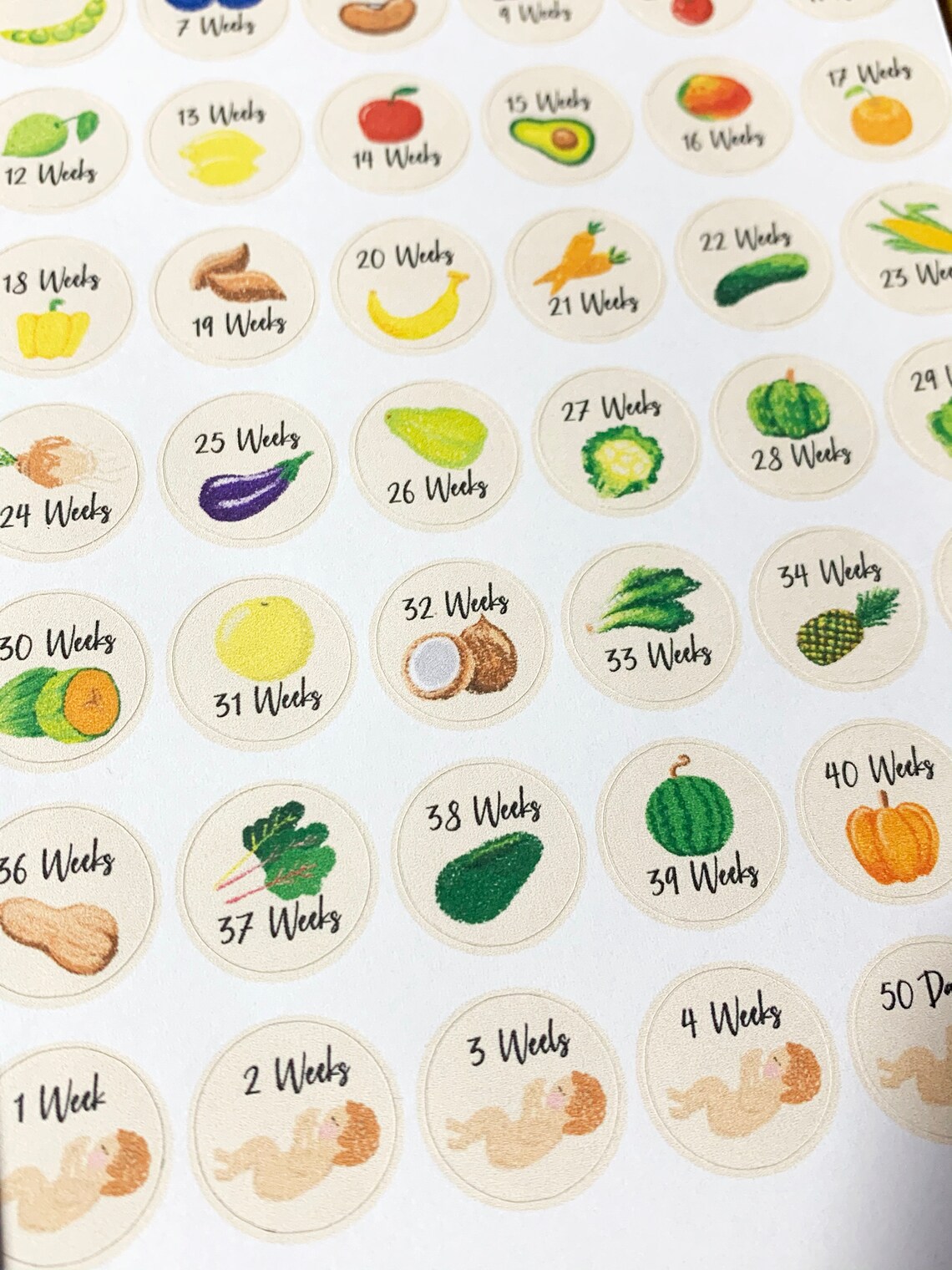 Baby Sizes Stickers Baby Bump Stickers Pregnancy Sticker - Etsy