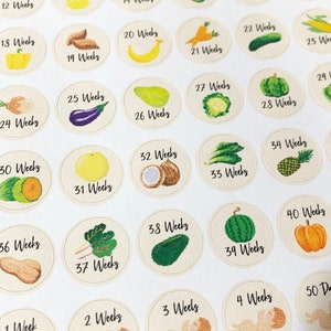 Baby Sizes Stickers | Baby Bump Stickers | Pregnancy Sticker ...