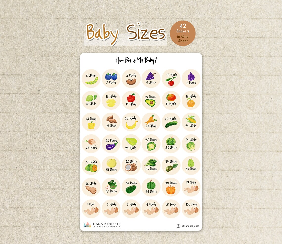 Baby Sizes Stickers Baby Bump Stickers Pregnancy Sticker - Etsy