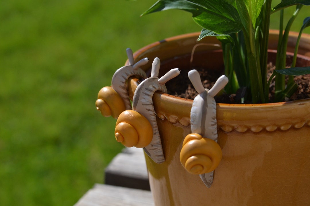 Pot Climber Snails. Pot Buddy. - Etsy
