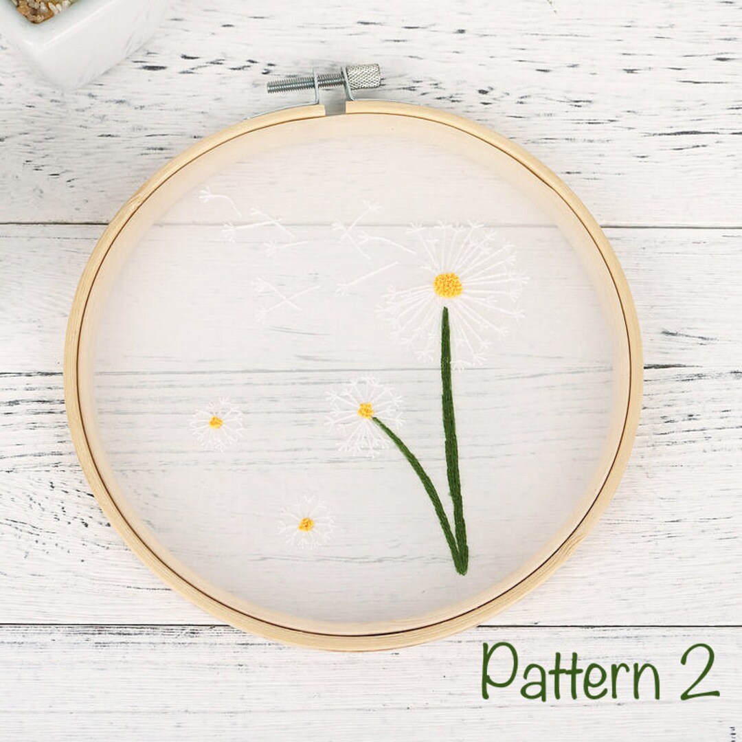 Transparent Embroidery Kit for Beginner Modern Embroidery - Etsy