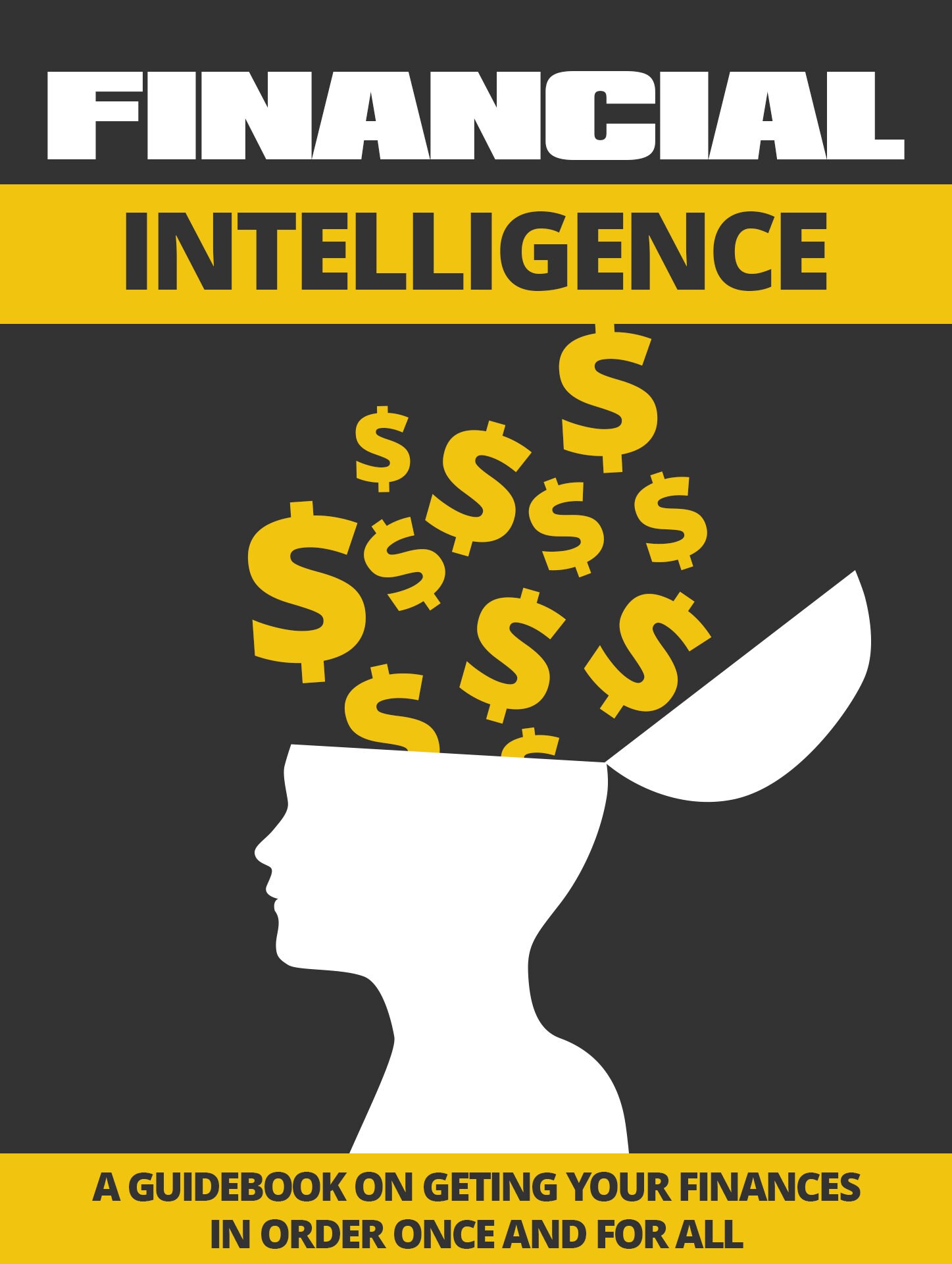 Financial Intelligence Ebook, Personal Finance Guide (digital Download ...