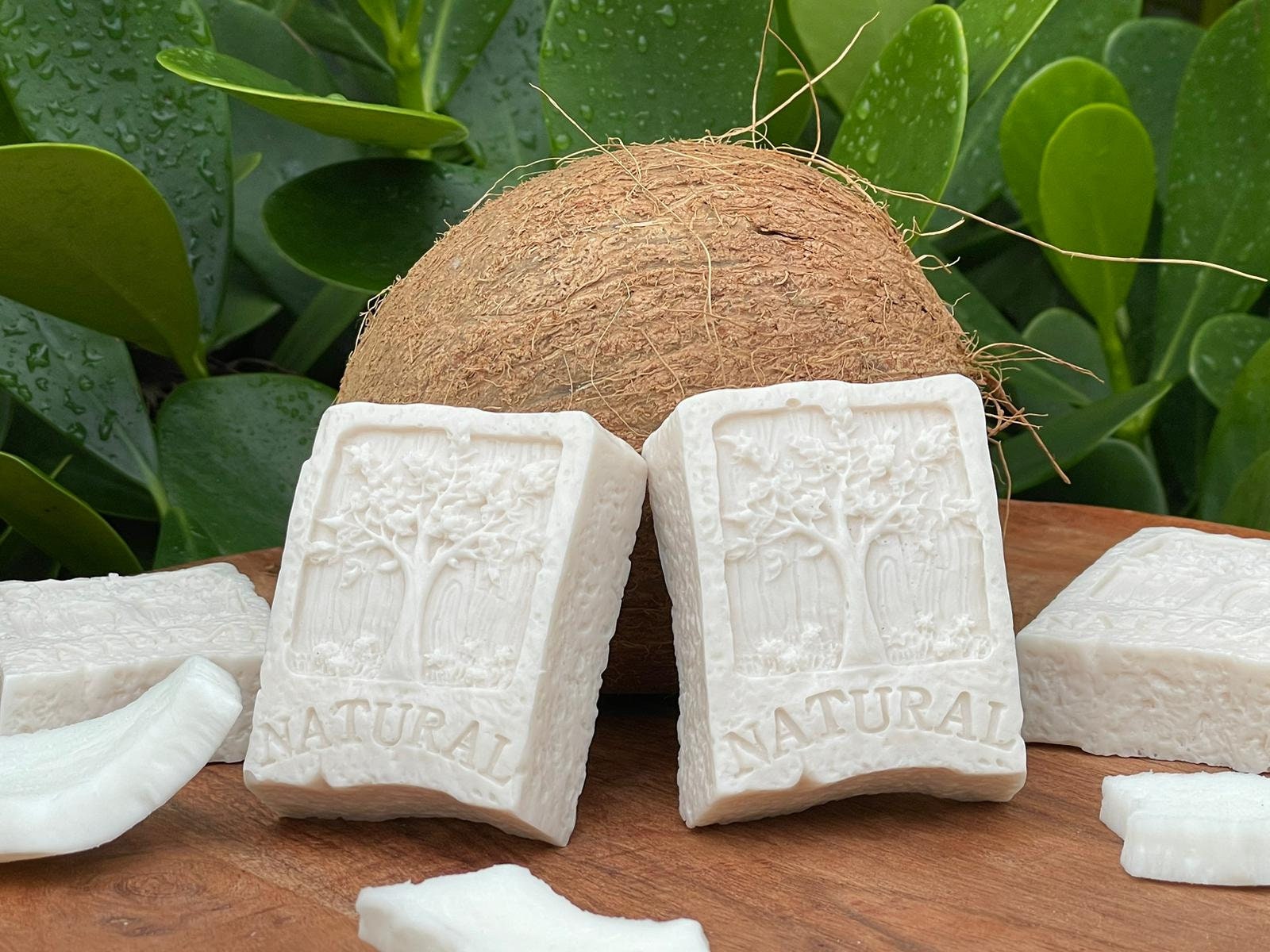 Creamy Coconut Bath Bar - Etsy