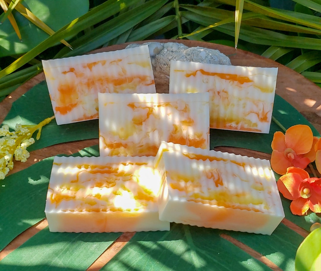 Sol ~ Goat's Milk Bath Bar - Etsy