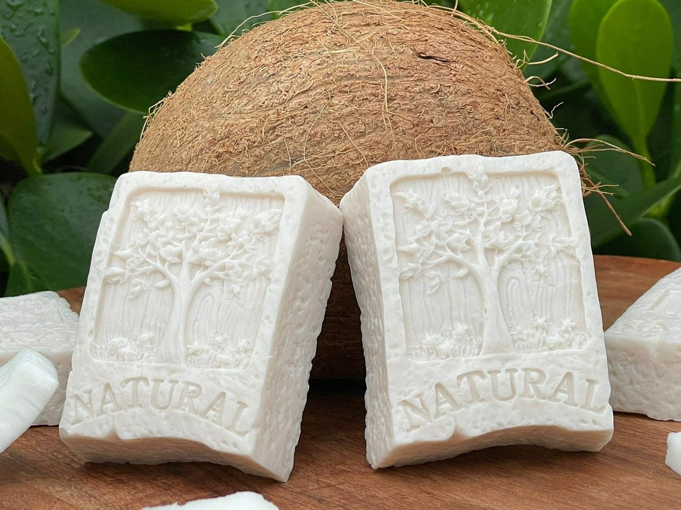 Creamy Coconut Bath Bar - Etsy