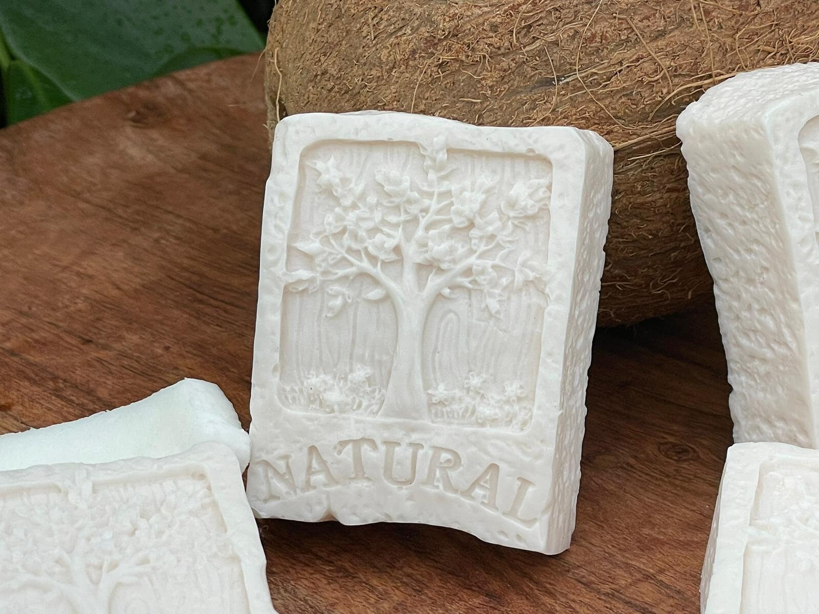 Creamy Coconut Bath Bar - Etsy