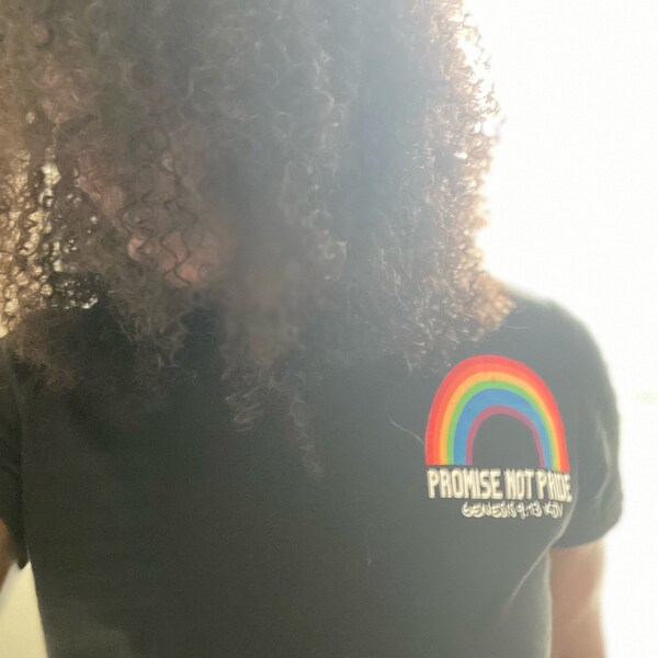 Promise Not Pride Sticker - Etsy