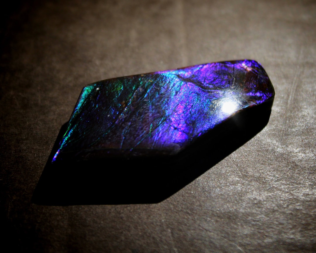 Ammolite Ammonite Prehistoric Marine, Ocean Fossil Gemstone - 66 ...