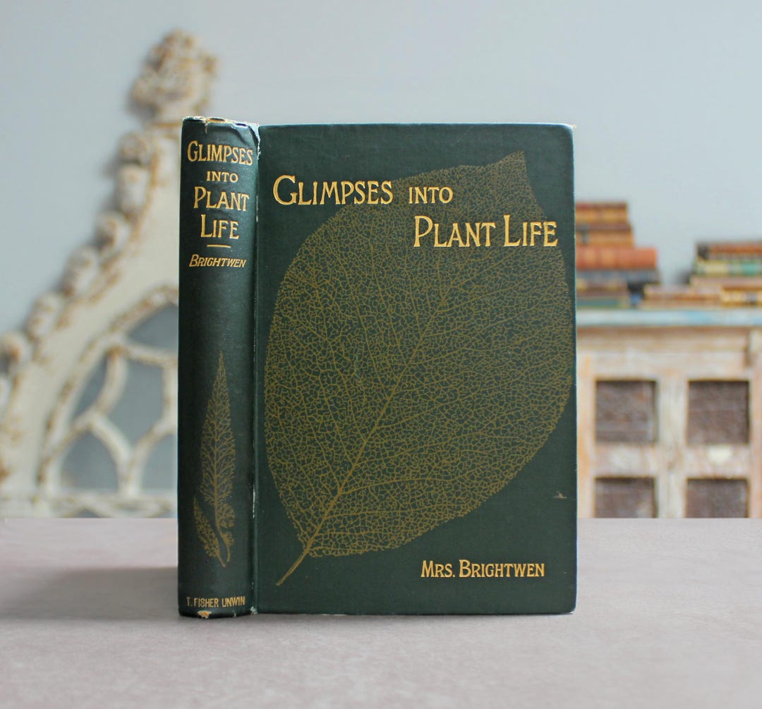 Glimpses Into Plant Life 1897 Illustrated Antique Victorian Old Book ...
