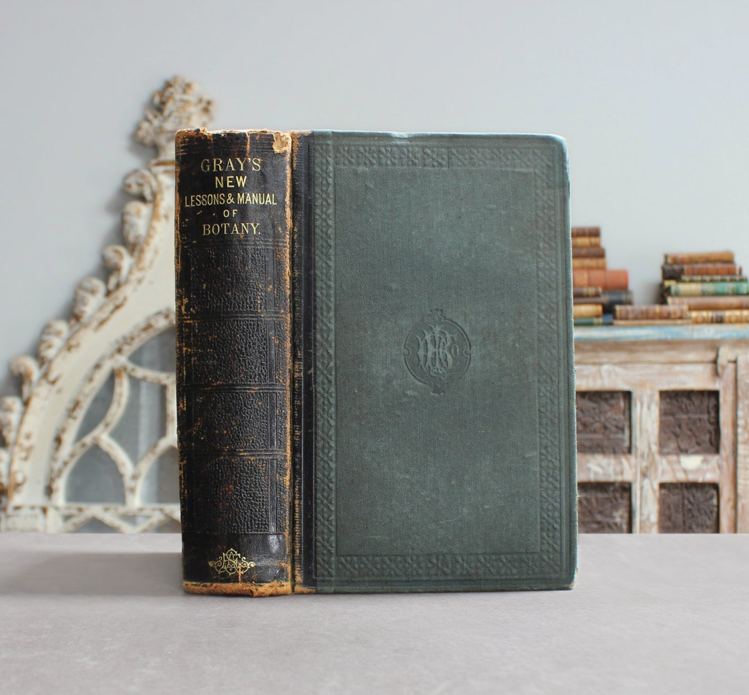 Lessons in Botany & Plant Physiology 1870 Illustrated Rare Antique ...