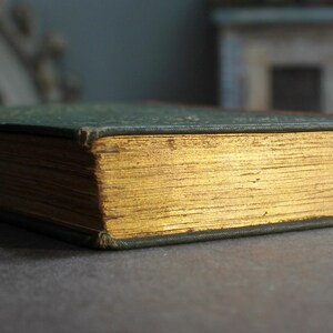 The Book of Rostam 1913 Illustrated Rare Antique Old Book Mythic Hero ...