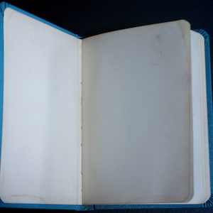 Antique New Authentic 1920s Journal RARE Illustrated Old Book, Diary ...