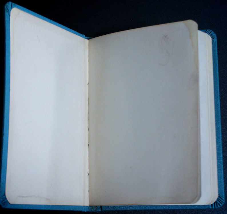 Antique New Authentic 1920s Journal RARE Illustrated Old Book, Diary ...