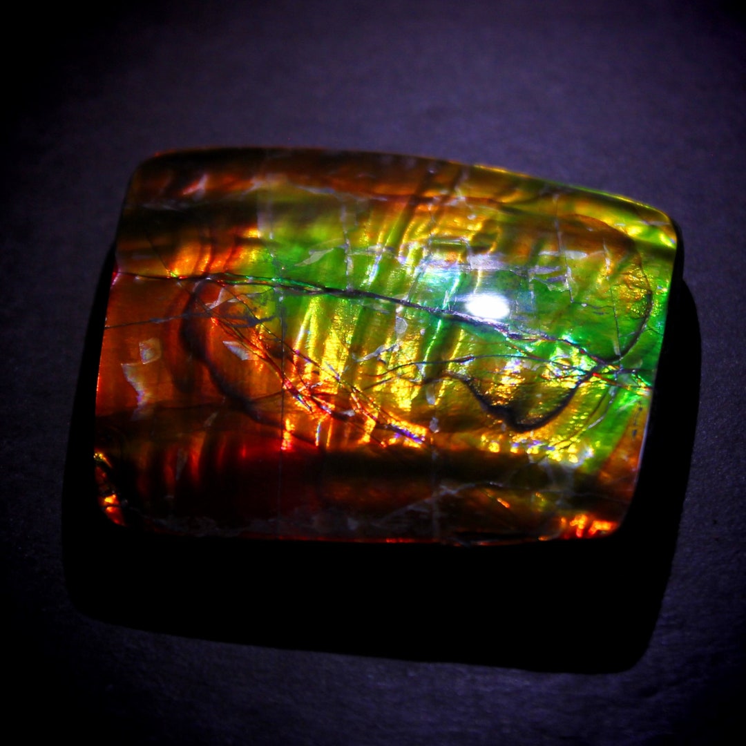 Ammolite Ammonite RARE Prehistoric Marine, Ocean Fossil Gemstone 66 ...