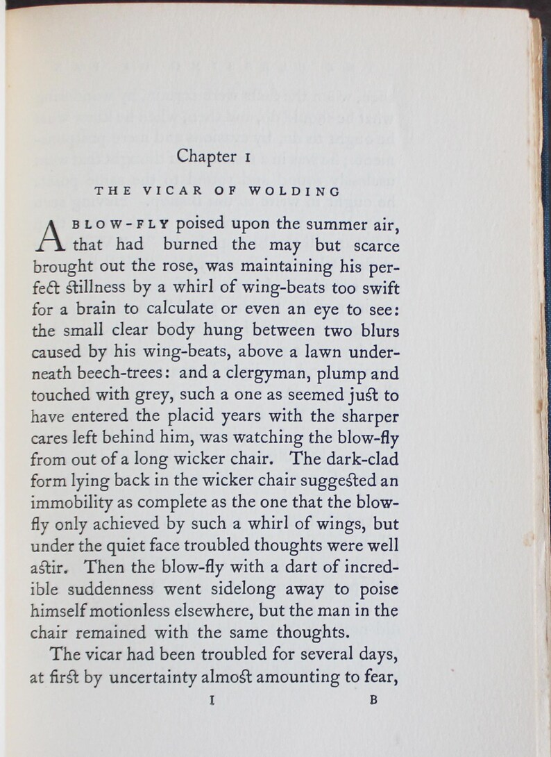 Blessings of Pan 1927 Antique Old Book Occult Fantasy Novel Pagan God of Nature Awakens in ...