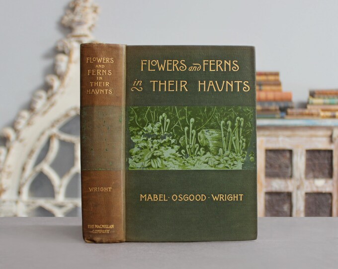 Flowers & Ferns in Their Haunts 1901 Illustrated Antique Edwardian Old ...