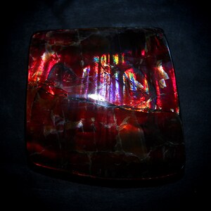 Ammolite Ammonite RARE Prehistoric Marine, Ocean Fossil Gemstone 66 ...