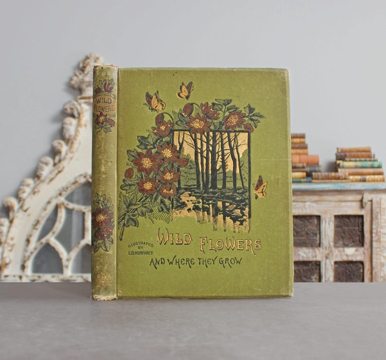 Wild Flowers: Where They Grow 1882 Illustrated Antique Victorian Old ...