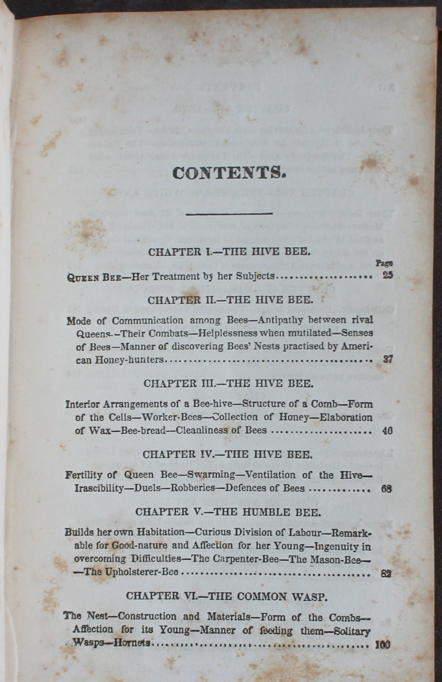 History of Insects 1840 Illustrated Rare Antique EARLY Victorian Old ...