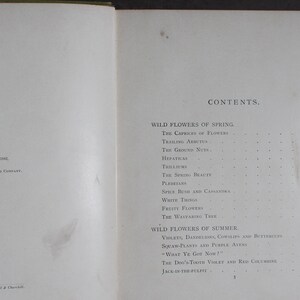Wild Flowers: Where They Grow 1882 Illustrated Antique Victorian Old ...