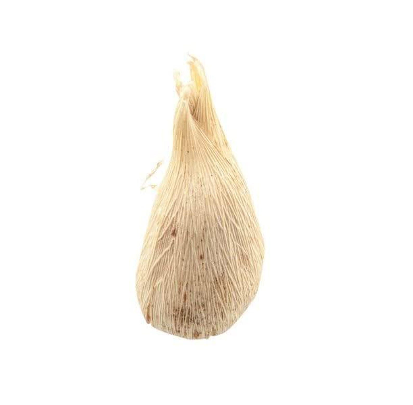 Votaniki Single Red Freesia Bulbs - Fragrant, Long Lasting Blooms ...