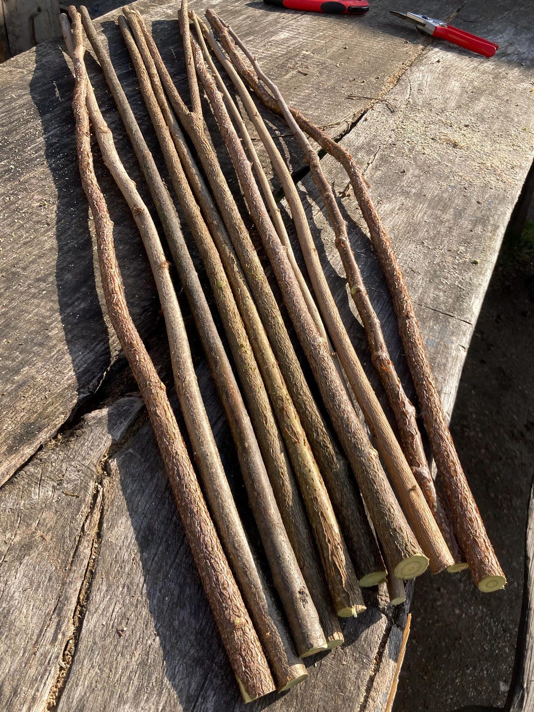 Hazelnut Branches 1m – Set of 11, Natural | Barbecue Sticks, Decorative ...